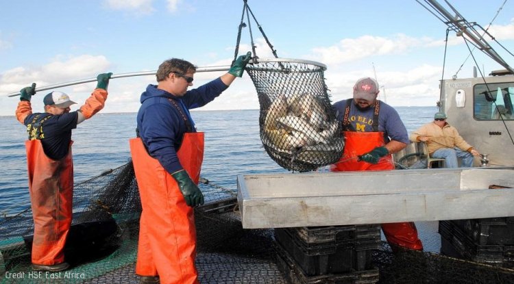 ILO Work in Fishing Convention Comes into Force - Occupational Health ...